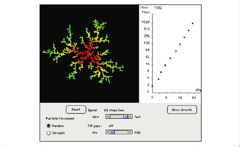 Computer Simulation For Aggregate Growth By Diffusion An Incoming Download Scientific Diagram