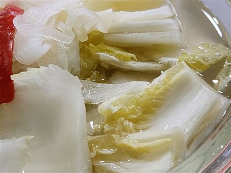 알배기 배추 물김치 백김치 만드는 법