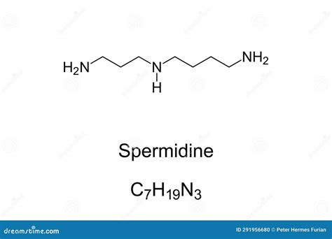 Spermidine Molecular Structure 3d Model Molecule Aliphatic Polyamine Structural Chemical