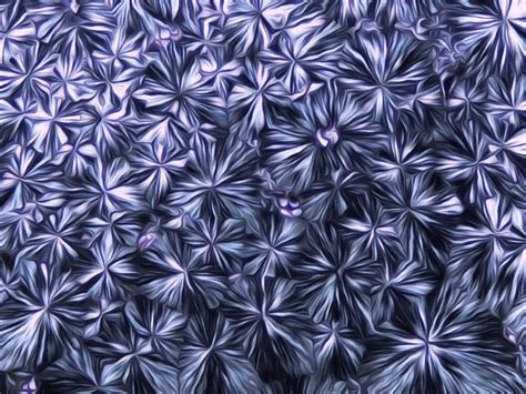 研究生风采展示 中国科学院化学研究所教育处