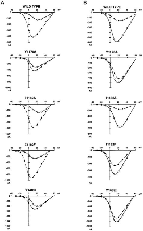The Current Voltage Relationships Were Measured With Ms Voltage Download Scientific