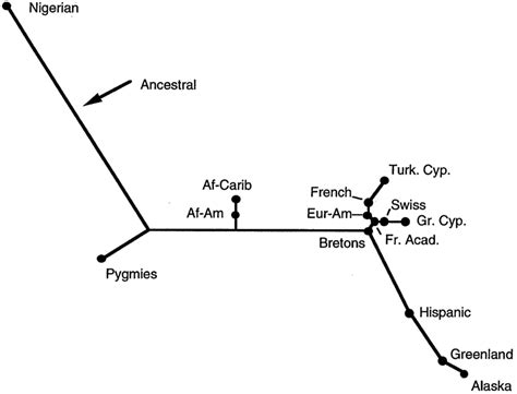 Maximum Likelihood Tree Of Population Relationships This Tree Was Download Scientific Diagram