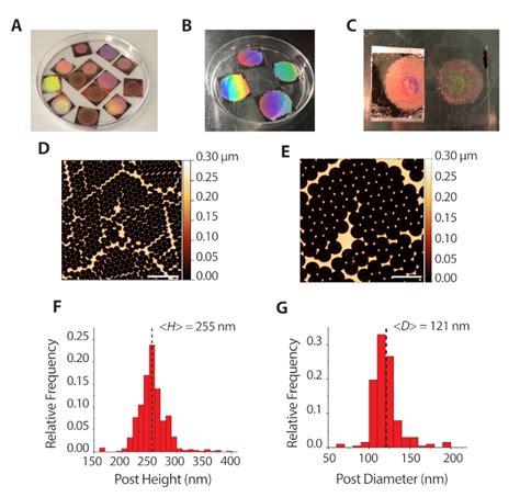 Fabrication Of Zero Mode Waveguides For High Concentration Single