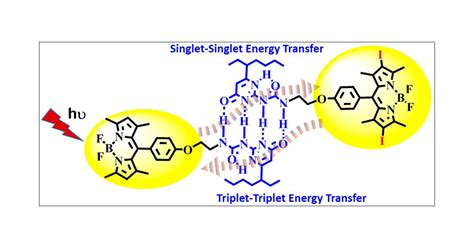 Bidirectional Singlet And Triplet Energy Transfer Via The 2 Ureido 4 1h Pyrimidinone Quadruple