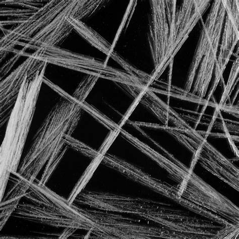 Unbiased Degree Preserving Randomization Of Directed Binary Networks Lims