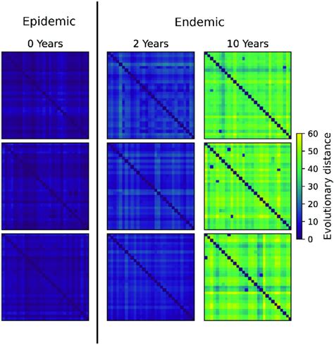 A Collection Of Example Images Used For Training From Each Sampling Download Scientific Diagram