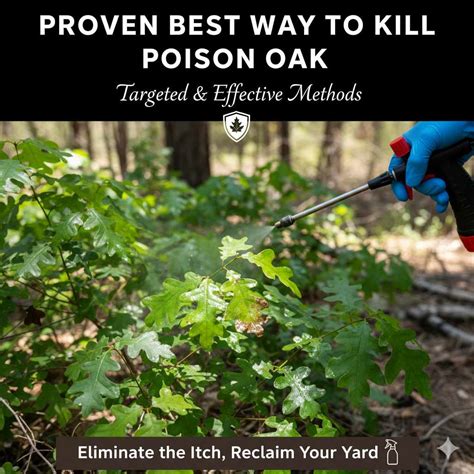 Proven Best Way To Kill Poison Oak Plants