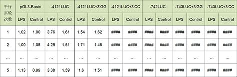 Luciferase分析调控位点 技术专题 停用 广州赛诚生物科技有限公司 服务于您的核心利益！