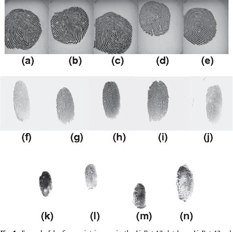 Automated Fingerprint Identification Semantic Scholar