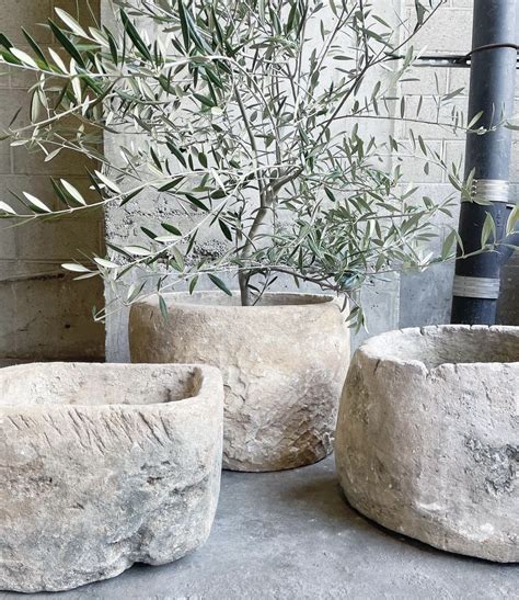 Three Cement Planters For Your Courtyard Garden