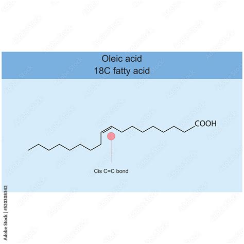 Oleic Acid 18 Carbon Fatty Acid Chemical Structure On Blue Background Cis Double Carbon Bond