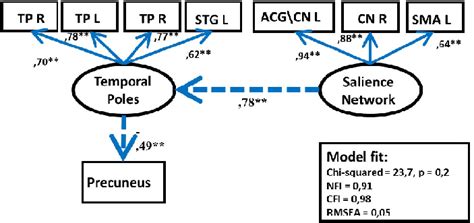 Illustrative View Of The Structural Equation Modeling Circles Download Scientific Diagram