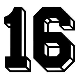Protocolo 16