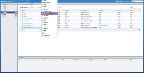 虚拟机和主机：如何执行vmware esxi裸机备份任务？