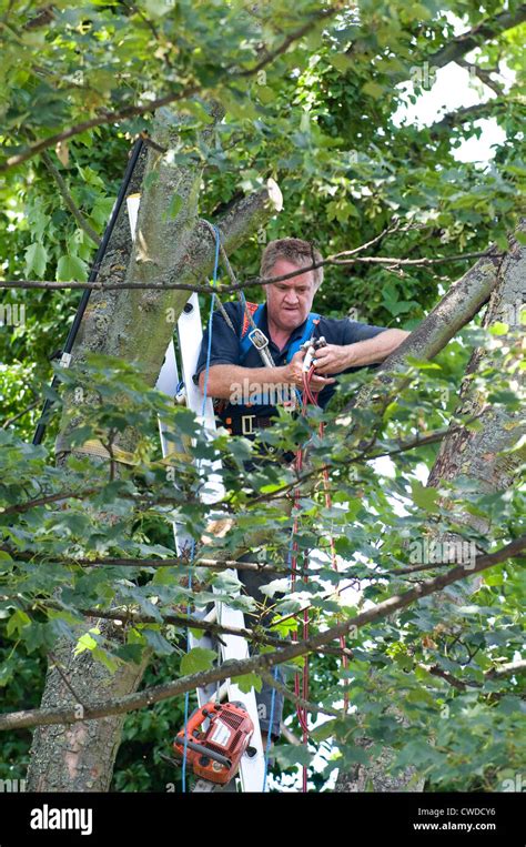 Tree Surgeon Rope Hi Res Stock Photography And Images Alamy