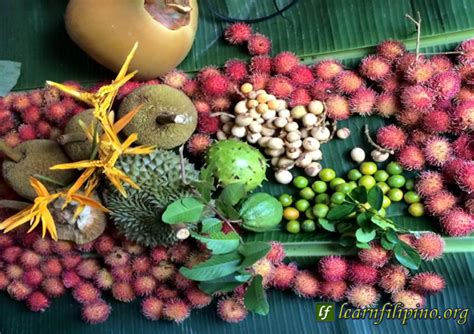 Tagalog Or Filipino Translations Of Fruits Learn Filipino