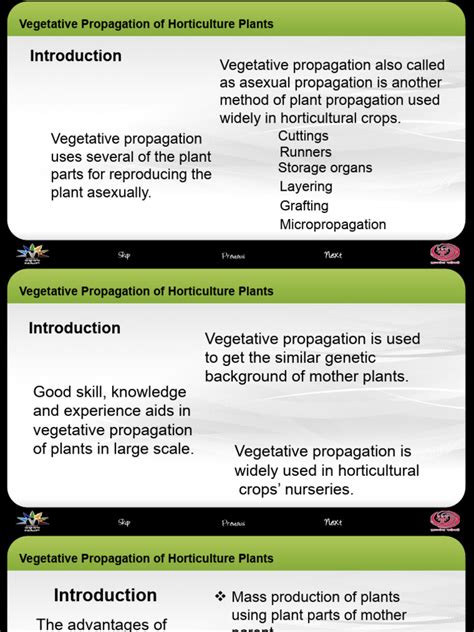2 Lecture Plant Propagation Pdf Grafting Plants
