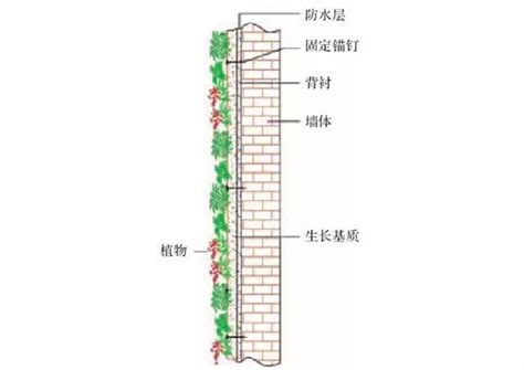 垂直绿化构造 垂直绿化 垂直绿化景观 第15页 大山谷图库