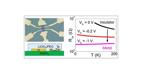 Gate Tuned Insulatormetal Transition In Electrolyte Gated Transistors Based On Tellurene Nano