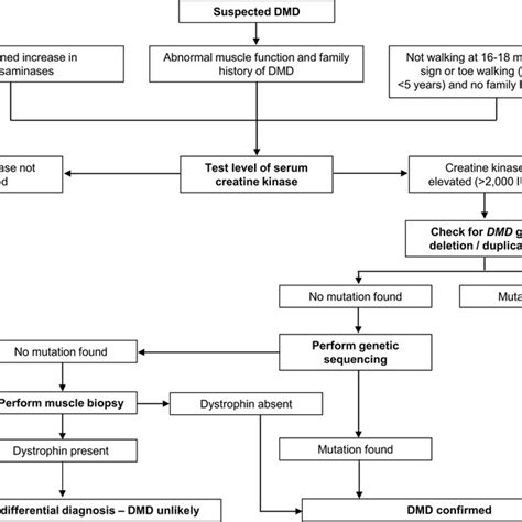 Diagnosis Of Duchenne Muscular Dystrophy Dmd Algorithm Based On Data Download Scientific