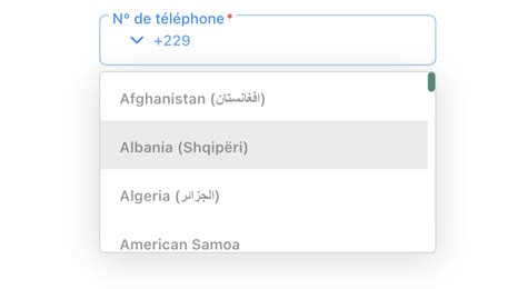 Github Lbgm Phone Input An Angular Phone Input Component Module