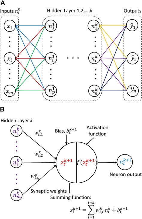 Construction Of An Ann A Layered Network B Artificial Neuron Download Scientific Diagram