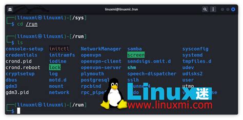 Linux 操作系统目录结构解释 Linux迷
