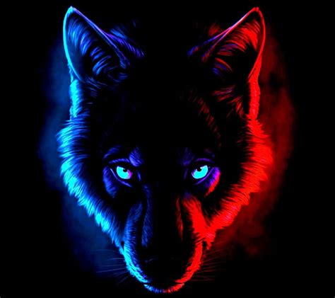 Anime Dark Wolf