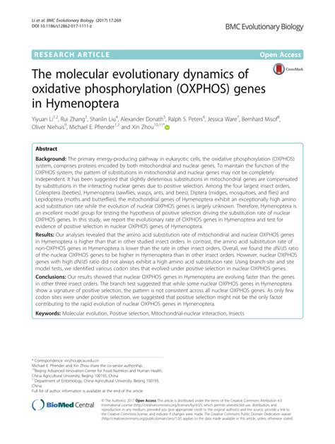Pdf The Molecular Evolutionary Dynamics Of Oxidative Phosphorylation Oxphos Genes In Hymenoptera
