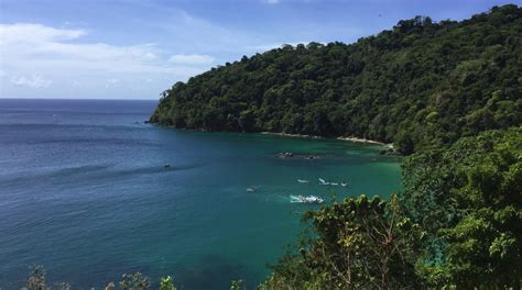 History Of Tandt Resilient Heritage