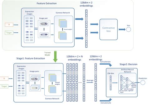 Github Lugimzzzcongri