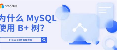 为什么 Mysql 使用 B 树？ Stonedb数据库观察 个人文章 Segmentfault 思否