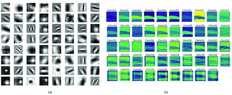 A Filter Visualizations B Feature Maps Activations Download