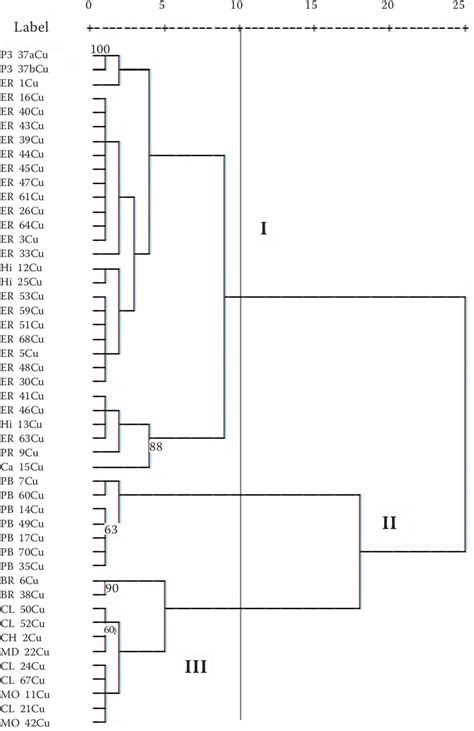 A Dendrogram Formed With The Minimum Descriptors From The Euclidean Download Scientific Diagram