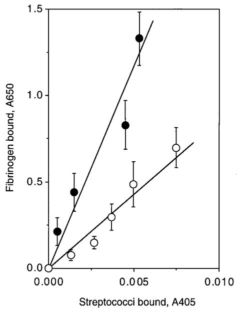 Role Of Sof In The Binding Of Fibrinogen To Group A Streptococci Download Scientific Diagram