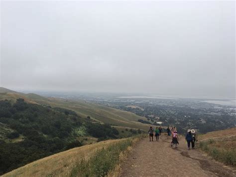 Mission Peak Regional Preserve Fremont Ca Top Tips Before You Go