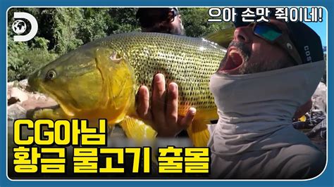 꿈의 물고기 돗돔보다 잡기 어려운 아마존 황금 물고기를 낚다 Ep1 극한 낚시 Youtube