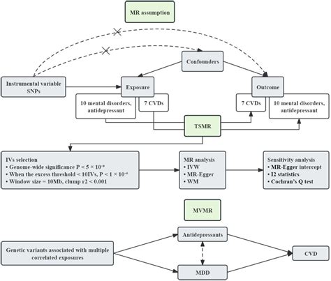 Bidirectional Associations Between Mental Disorders Antidepressants And Cardiovascular Disease