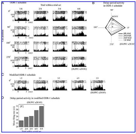 A An Example Of Sr Type Delay Period Activity Observed In The Dlpfc Download Scientific