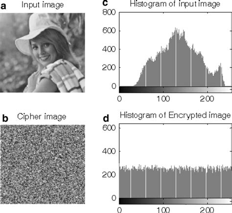 Histogram Analysis Of Elaine Image A Elaine Image B Cipher Image C Download Scientific