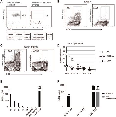 Characterization Of Functionality Of A TCR Isolated From Rare Antigen Download Scientific