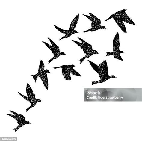 절연 공기 영감 몸 플래시 문신 잉크 새 무리의 질감된 점각 실루엣 벡터입니다 새의 브이 형태로 날기에 대한 스톡 벡터 아트 및 기타 이미지 새의 브이 형태로 날기