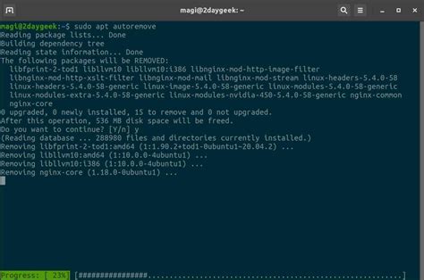 Difference Between Apt And Apt Get Command 2daygeek