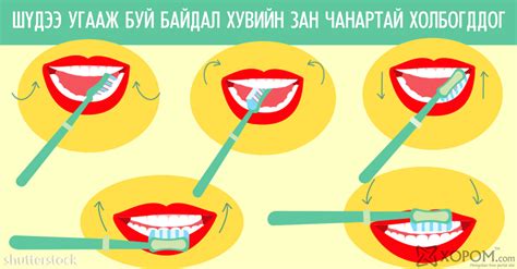 Таныг шүдээ яаж угаадгаас чинь шалтгаалж хувийн зан чанар болон юуг