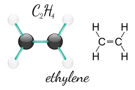 Polyethylene Structure