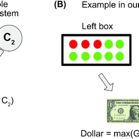 Causal Structure A And Vignette B Used In Experiment 2