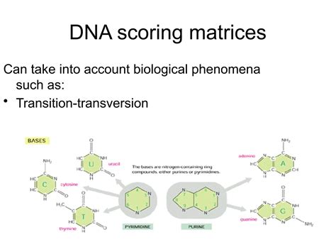 Pairwise Sequence Alignment Is Alignment Pptx