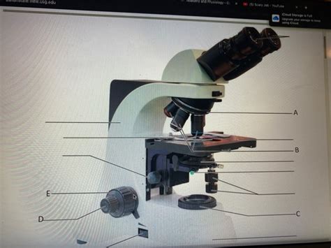 Lab Quiz 2 Flashcards Quizlet Lab Quiz 2 Flashcards Quizlet