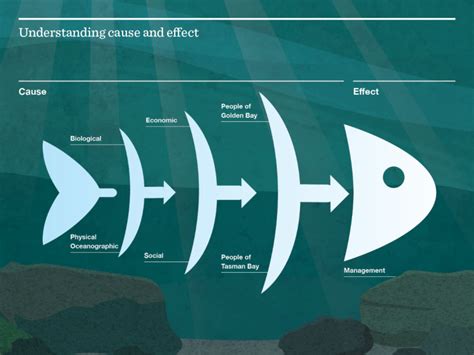 Ecosystem Modelling Earth Sciences New Zealand Niwa