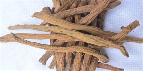 续断的作用与功效 360新知